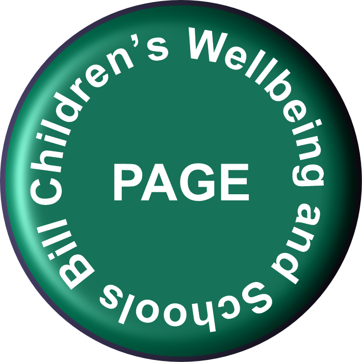Children’s Wellbeing and Schools Bill 2024 – The HE Byte